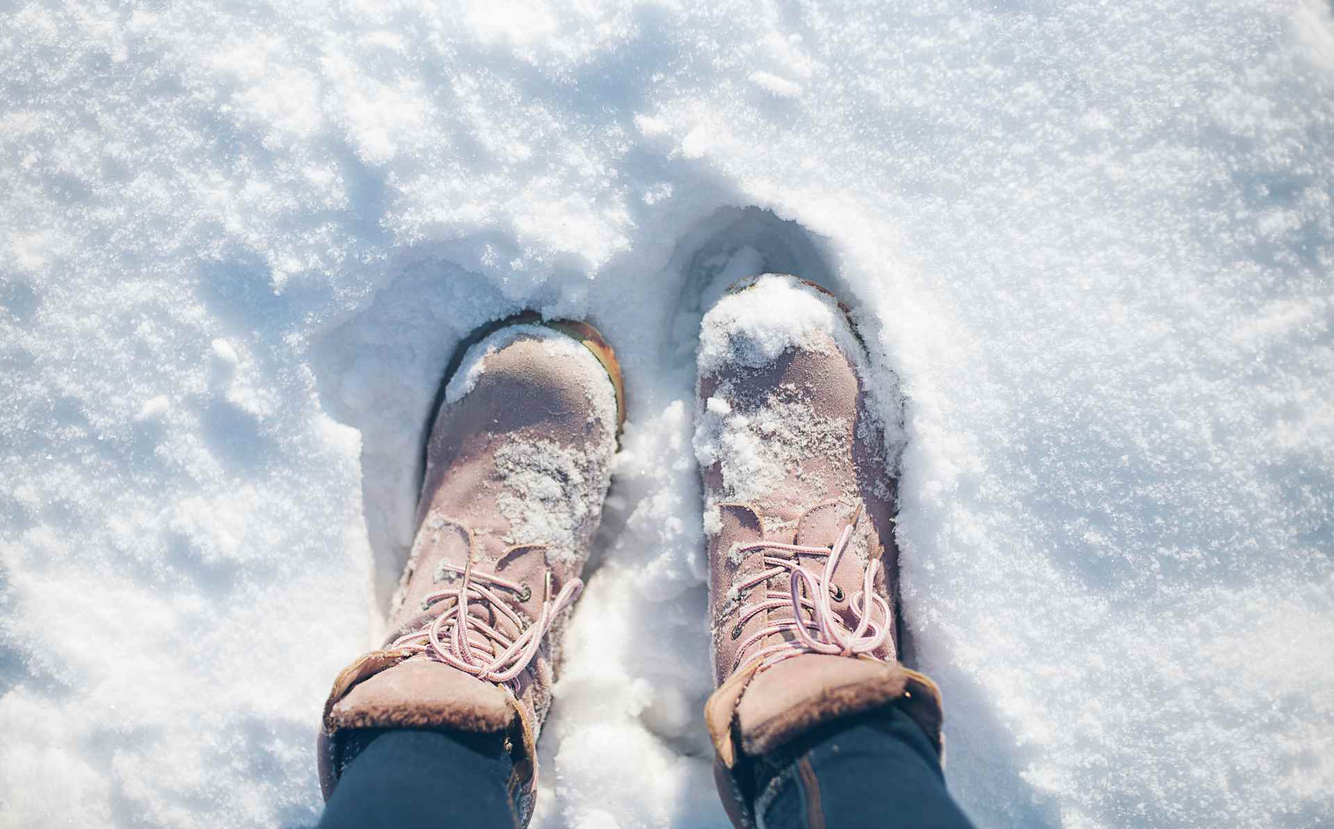 Snowbird arrasa: Lidera la temporada de nieve en Utah